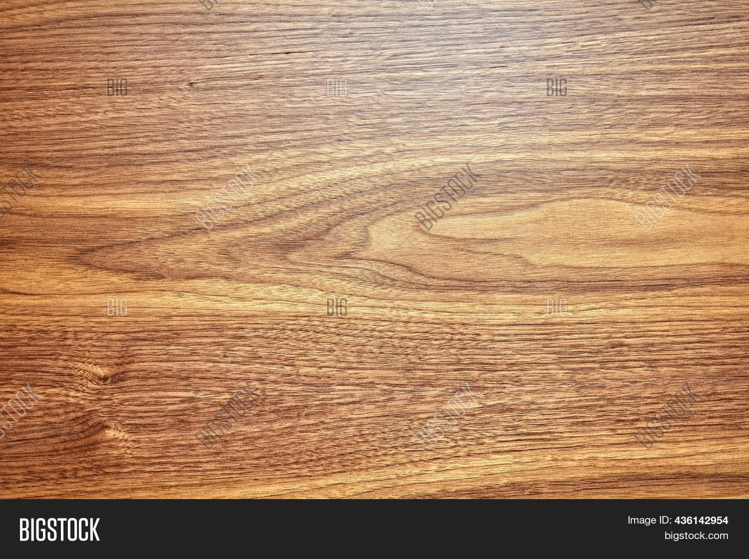 Wonderful Walnut Tree Image & Photo (Free Trial) | Bigstock