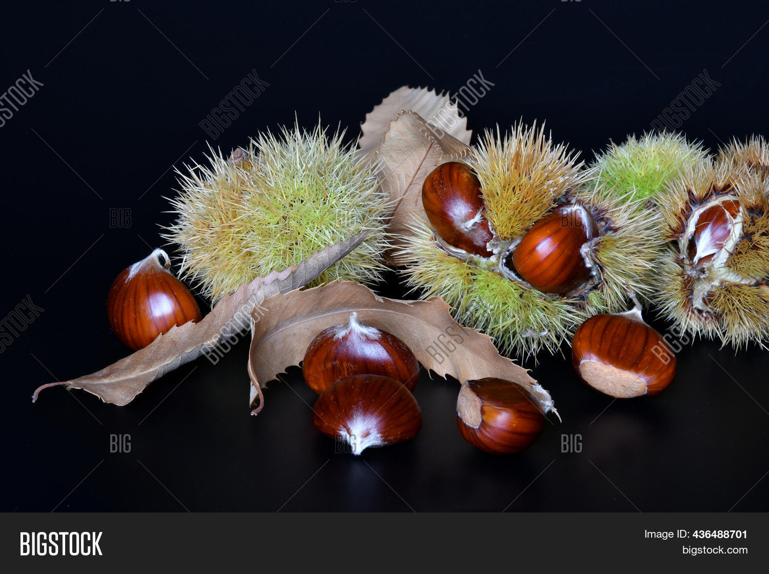 Close Chestnuts Inside Image & Photo (Free Trial) | Bigstock