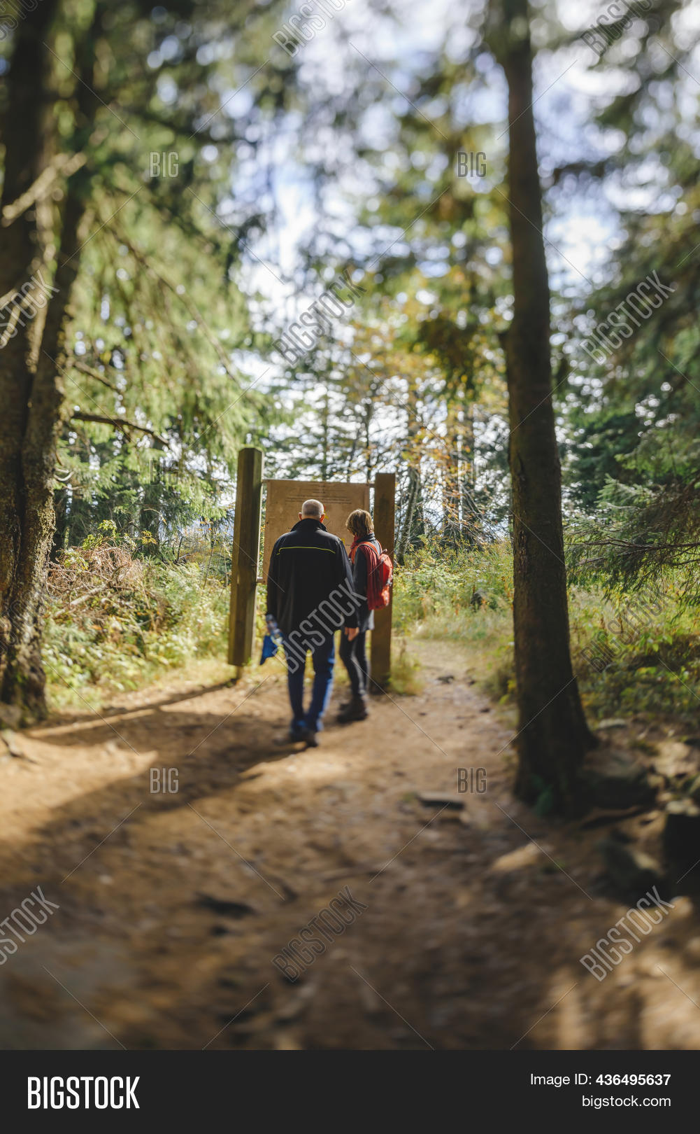Rear View Woman Senior Image & Photo (Free Trial) | Bigstock