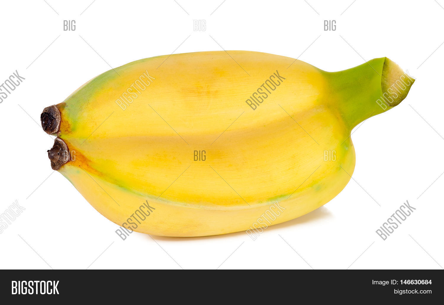 Twin Banana Isolated Image & Photo (Free Trial) | Bigstock