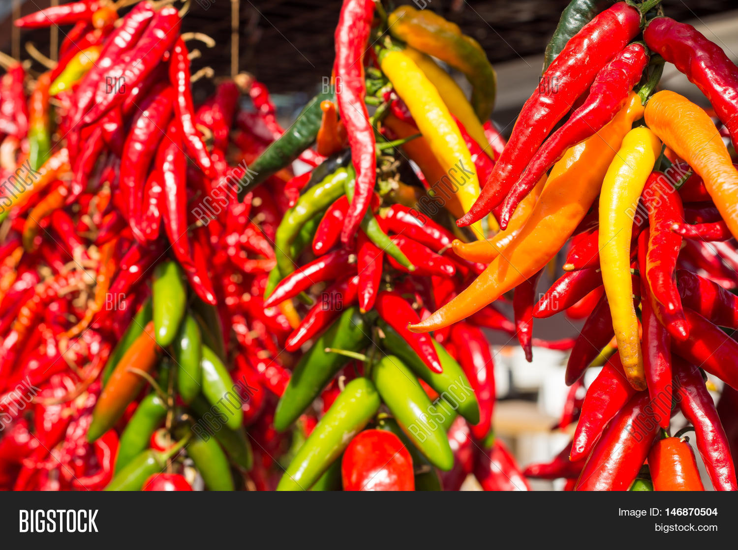 Bunches Chilli Peppers Image & Photo (Free Trial) | Bigstock