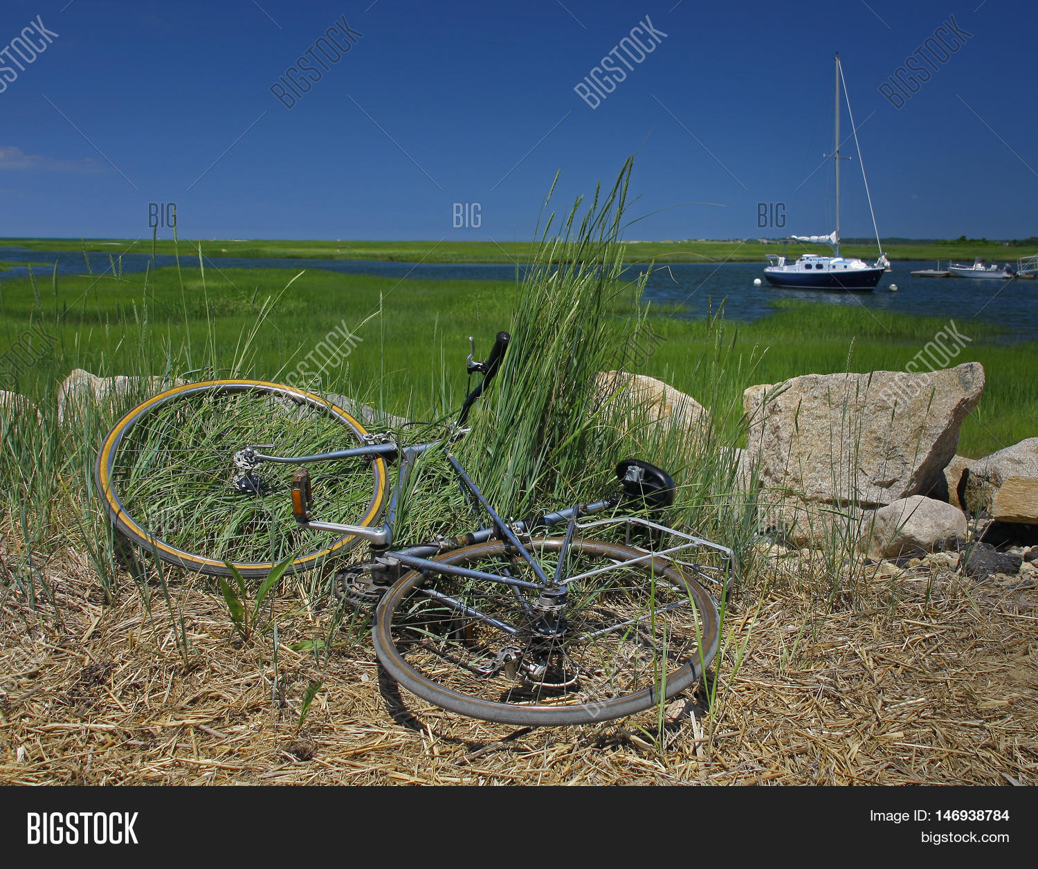 Bicycle Laying Reeds Image & Photo (Free Trial) | Bigstock