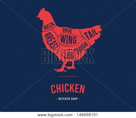 Chicken Cuts. Vector & Photo (Free Trial) | Bigstock