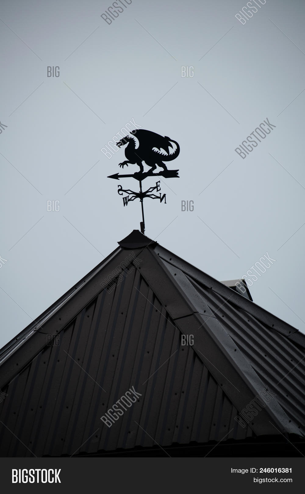 Black Dragon Wind Vane Image & Photo (Free Trial) | Bigstock