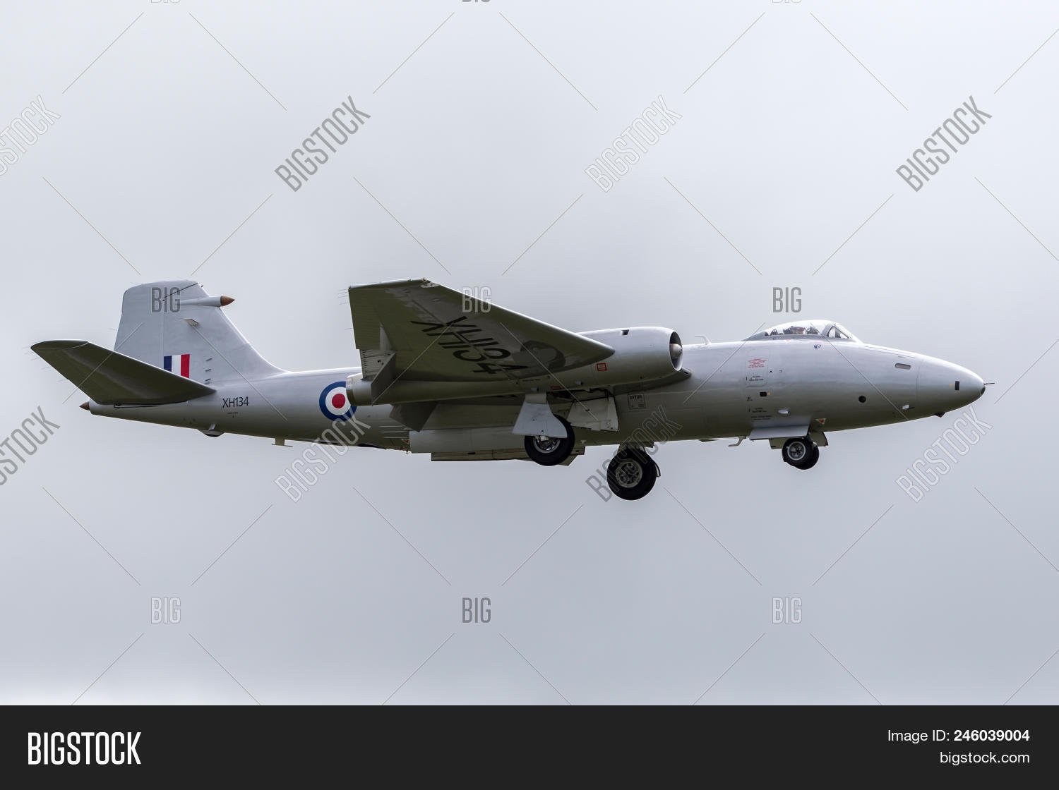 Raf Waddington, Image & Photo (Free Trial) | Bigstock