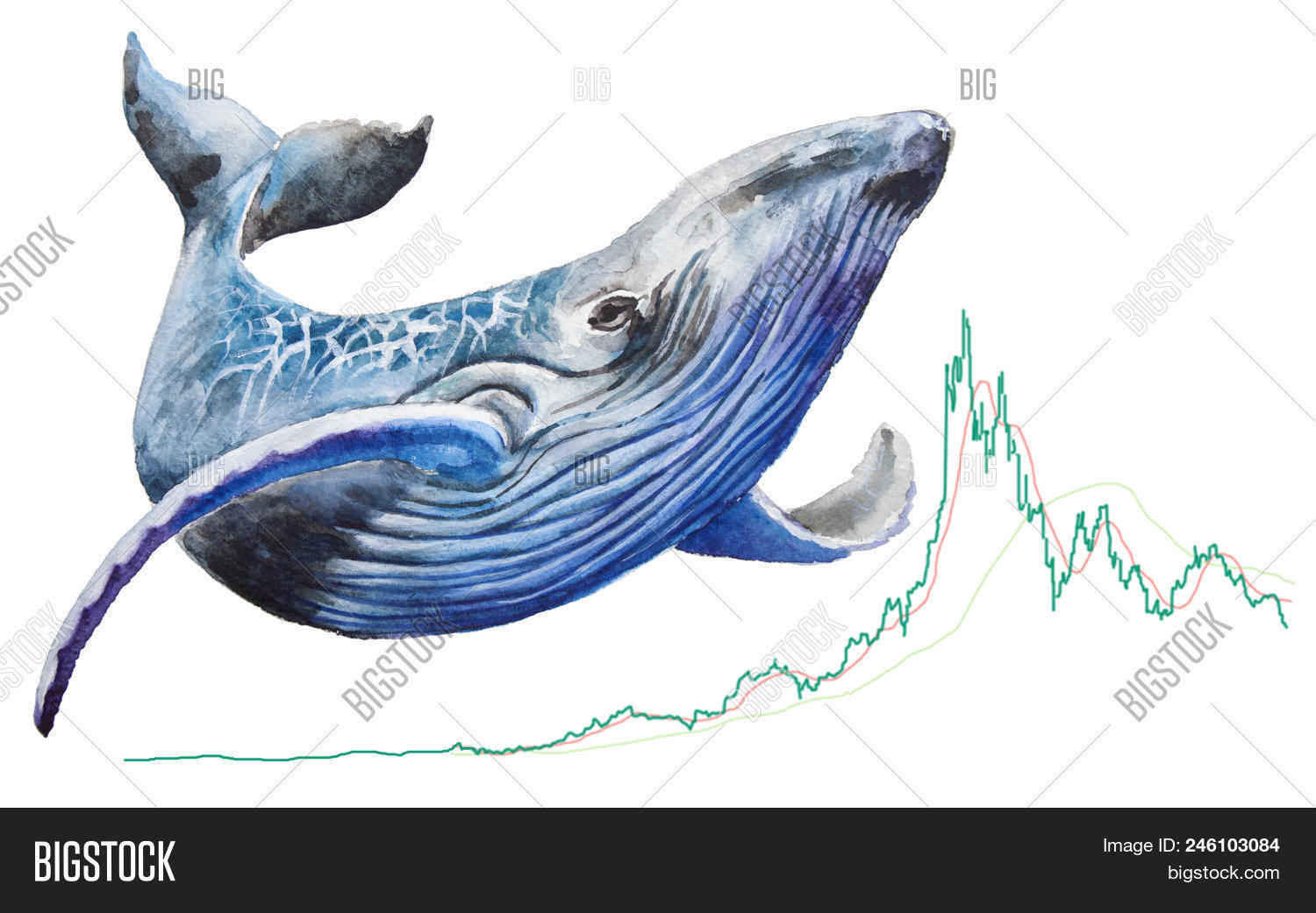 Business Graph Whale. Image & Photo (Free Trial) | Bigstock