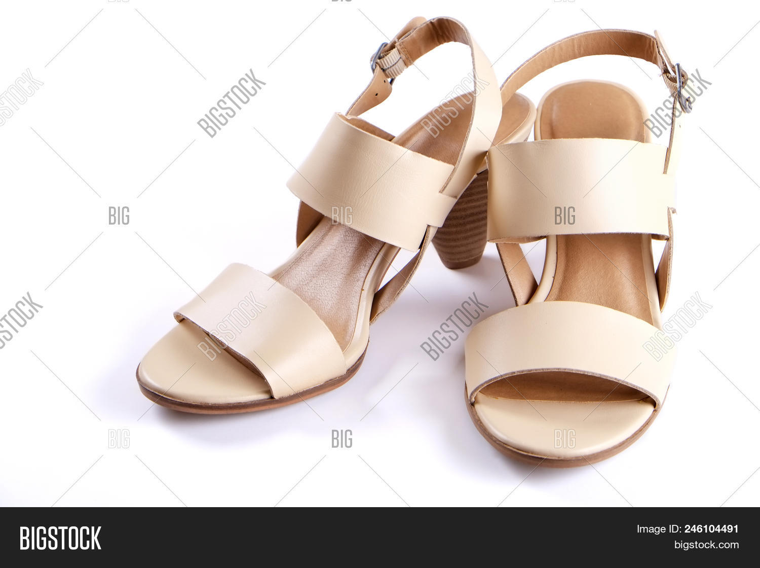Top View Fashionable Image & Photo (Free Trial) | Bigstock