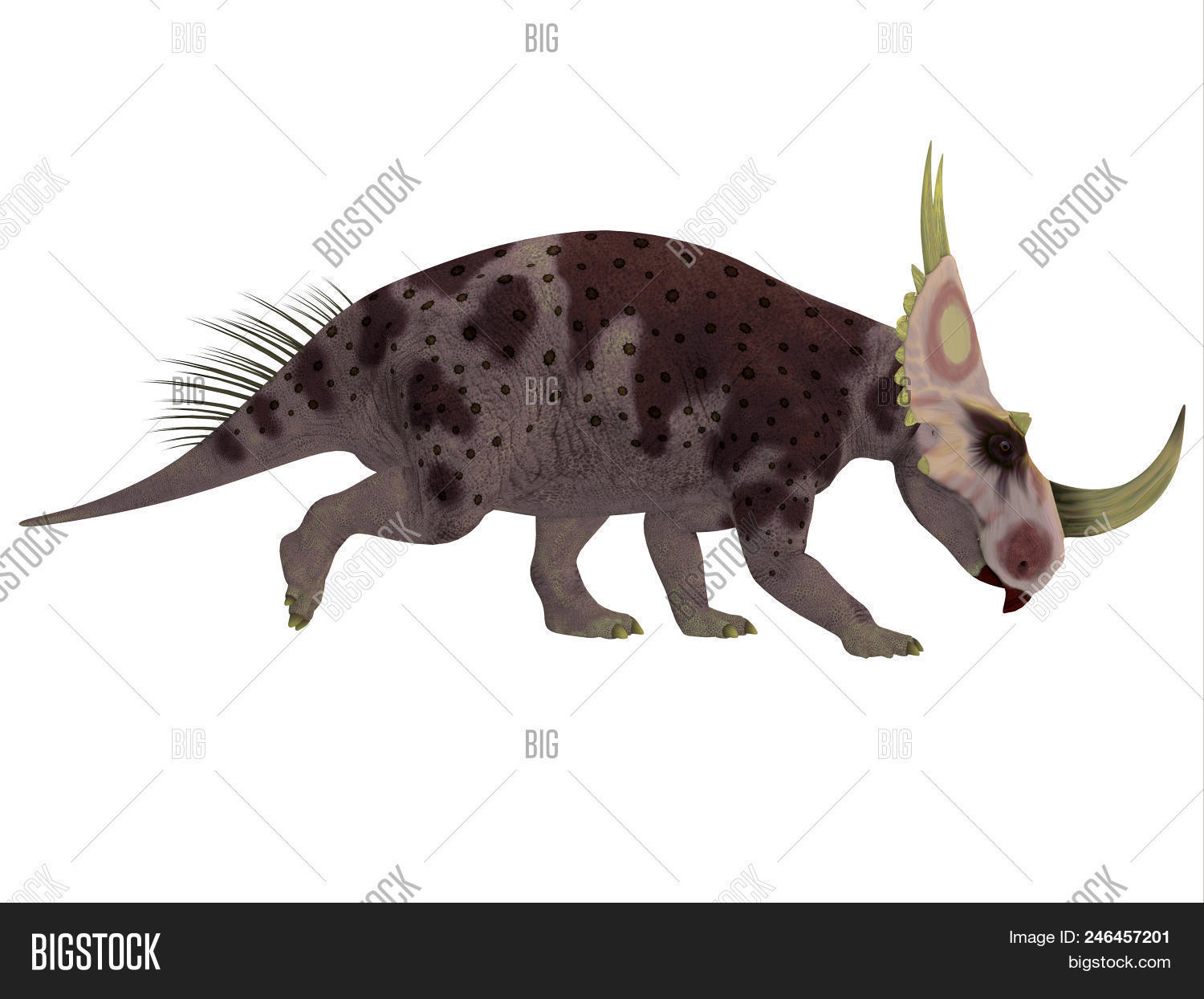 Rubeosaurus Dinosaur Image & Photo (Free Trial) | Bigstock