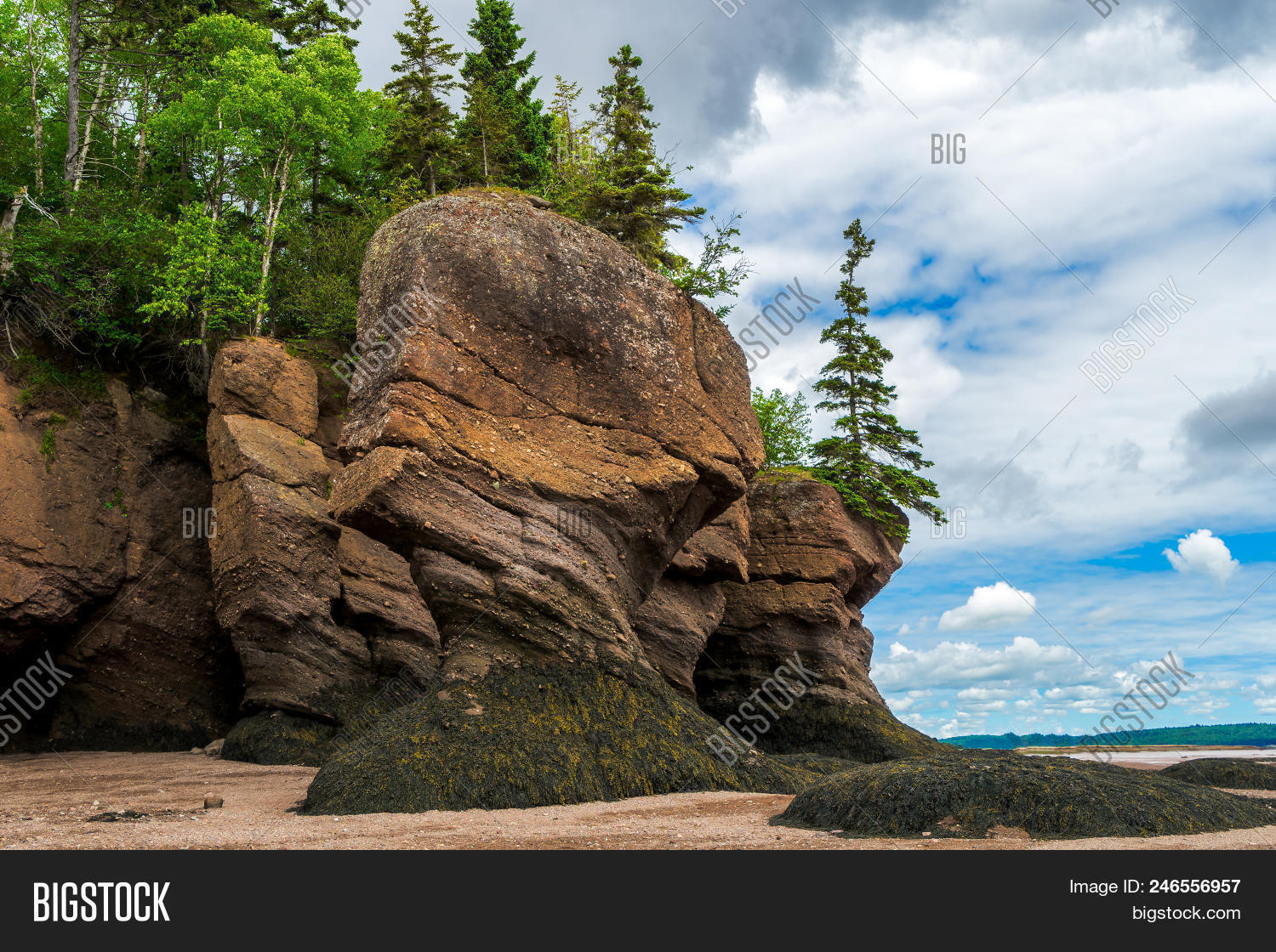 Hopewell Rocks Known Image & Photo (Free Trial) | Bigstock