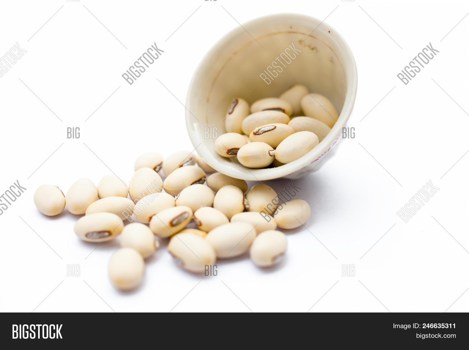 Ayurvedic Herb Kaunch Image & Photo (Free Trial) | Bigstock