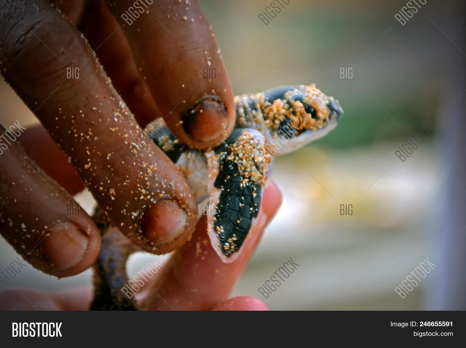 Fingers Black White Image & Photo (Free Trial) | Bigstock