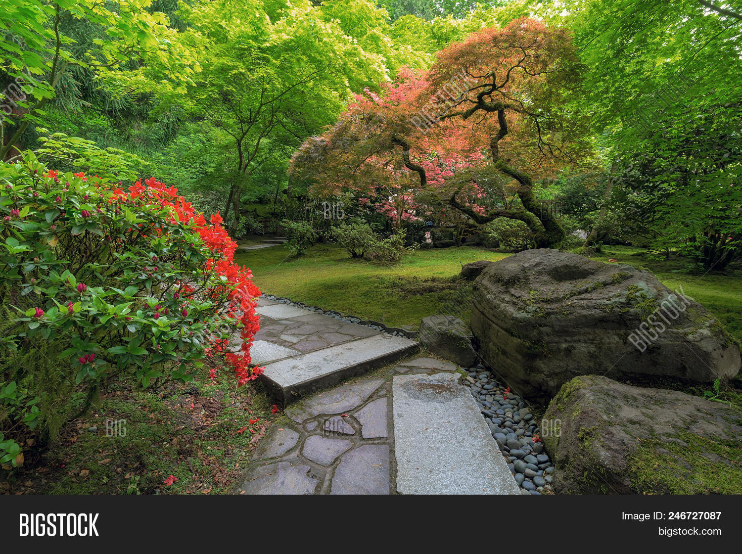 Stone Path Rocks Maple Image & Photo (Free Trial) | Bigstock
