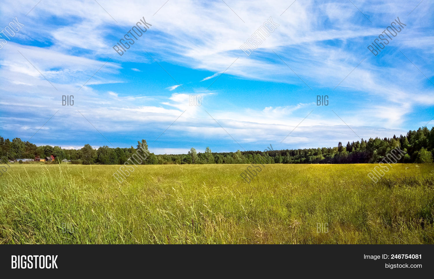 Undeveloped Field Image & Photo (Free Trial) | Bigstock