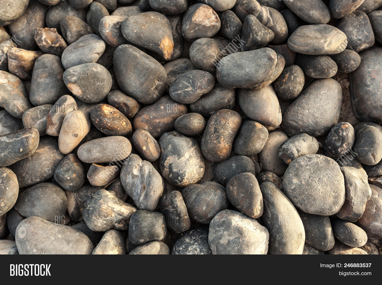 Abstract Sea Stone Image & Photo (Free Trial) | Bigstock