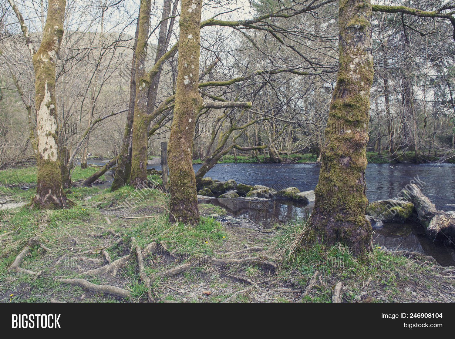 River Rothay White Image & Photo (Free Trial) | Bigstock