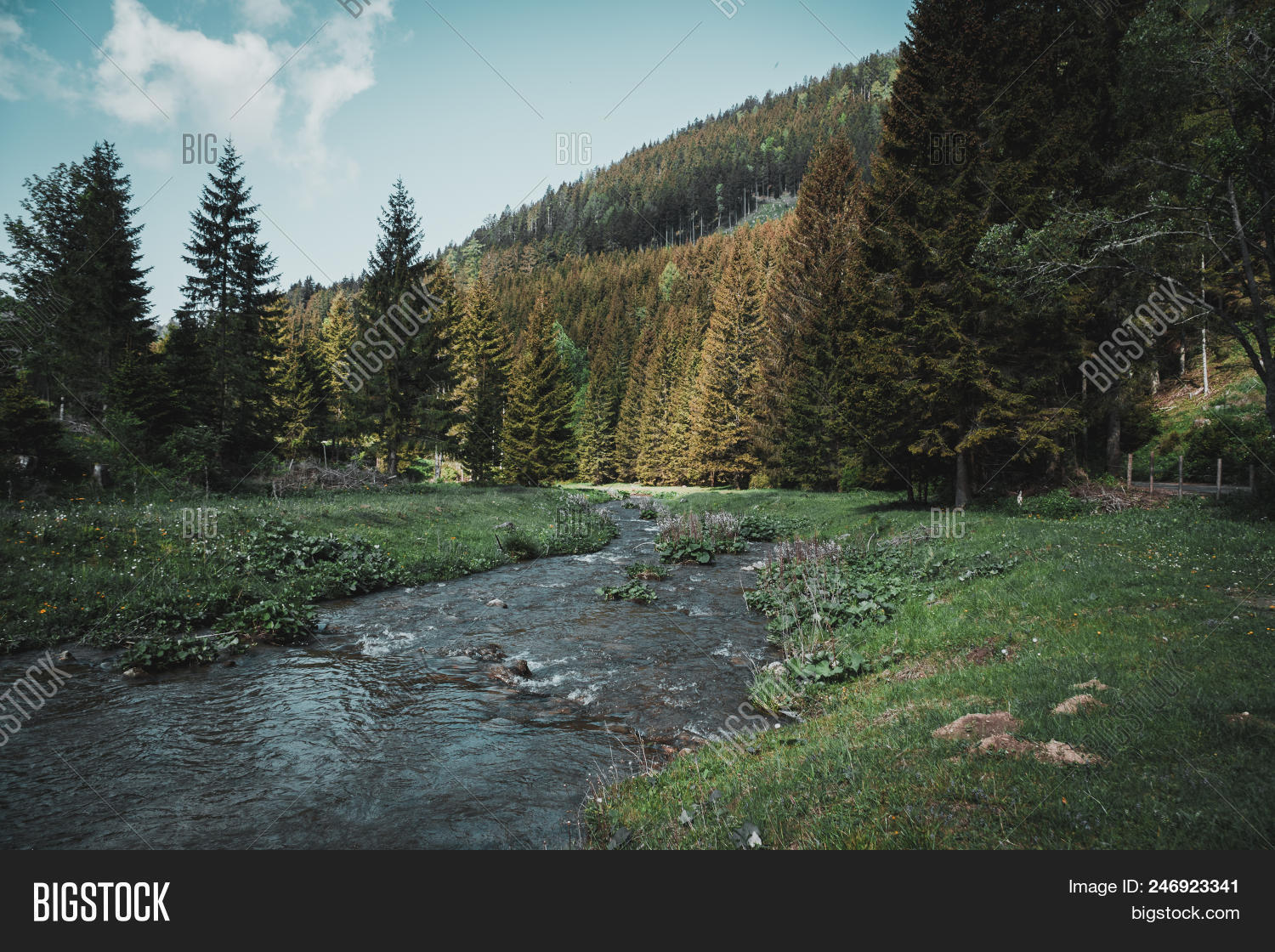 Tiny River Explored Image & Photo (Free Trial) | Bigstock