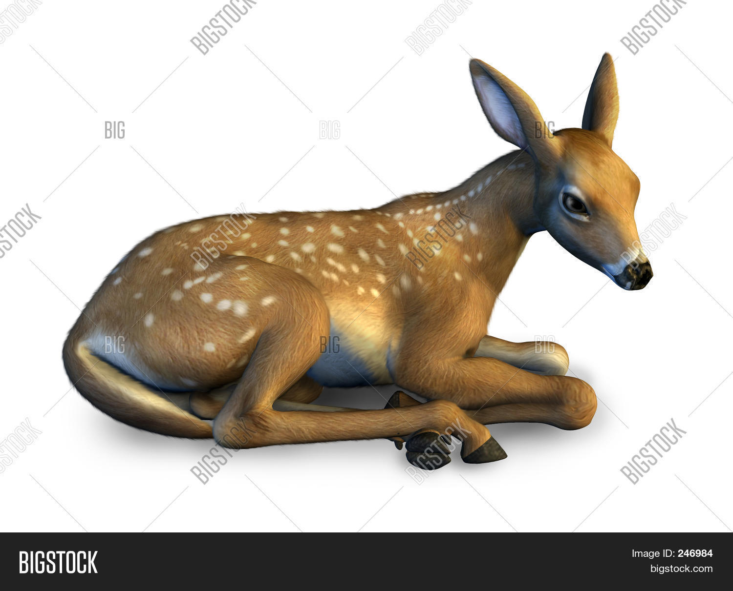 Fawn Laying Down Image & Photo (Free Trial) | Bigstock