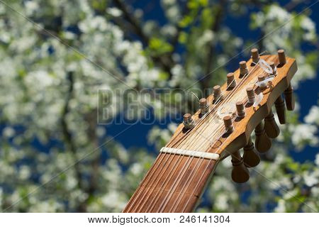 Vihuela De Mano 16Th Image & Photo (Free Trial) | Bigstock