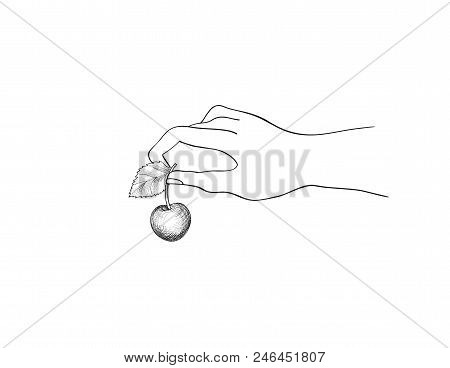 Cherry On Top. Hand Image & Photo (Free Trial) | Bigstock