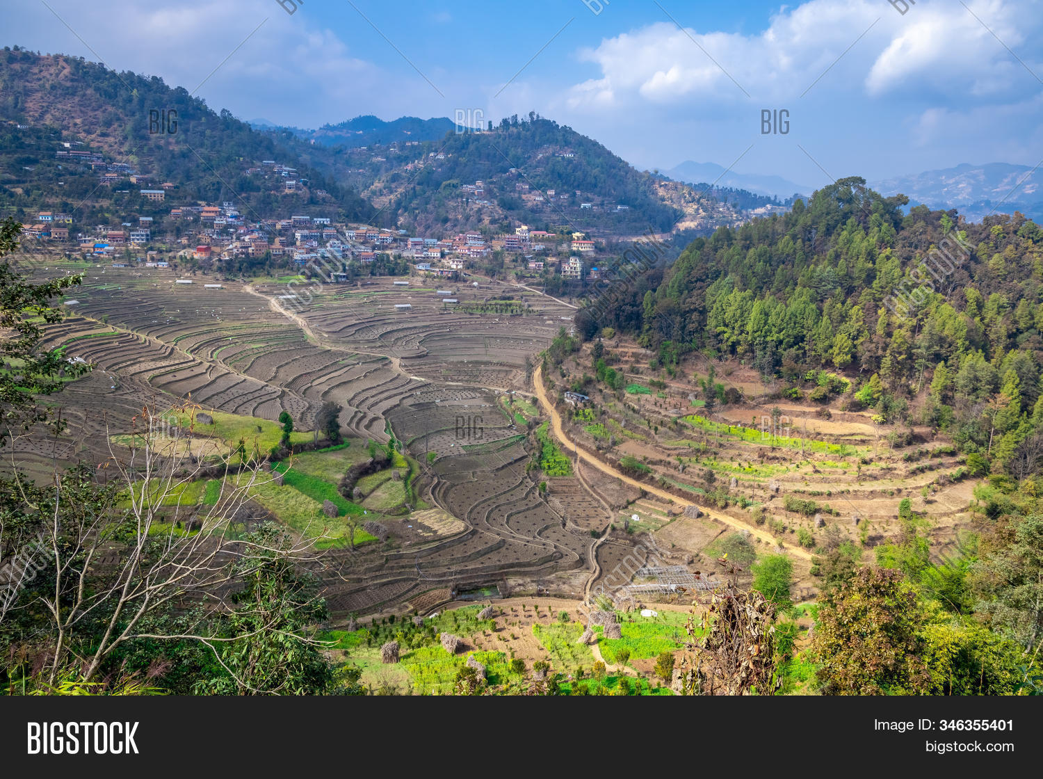 Terrace Rice Farm Image & Photo (Free Trial) | Bigstock