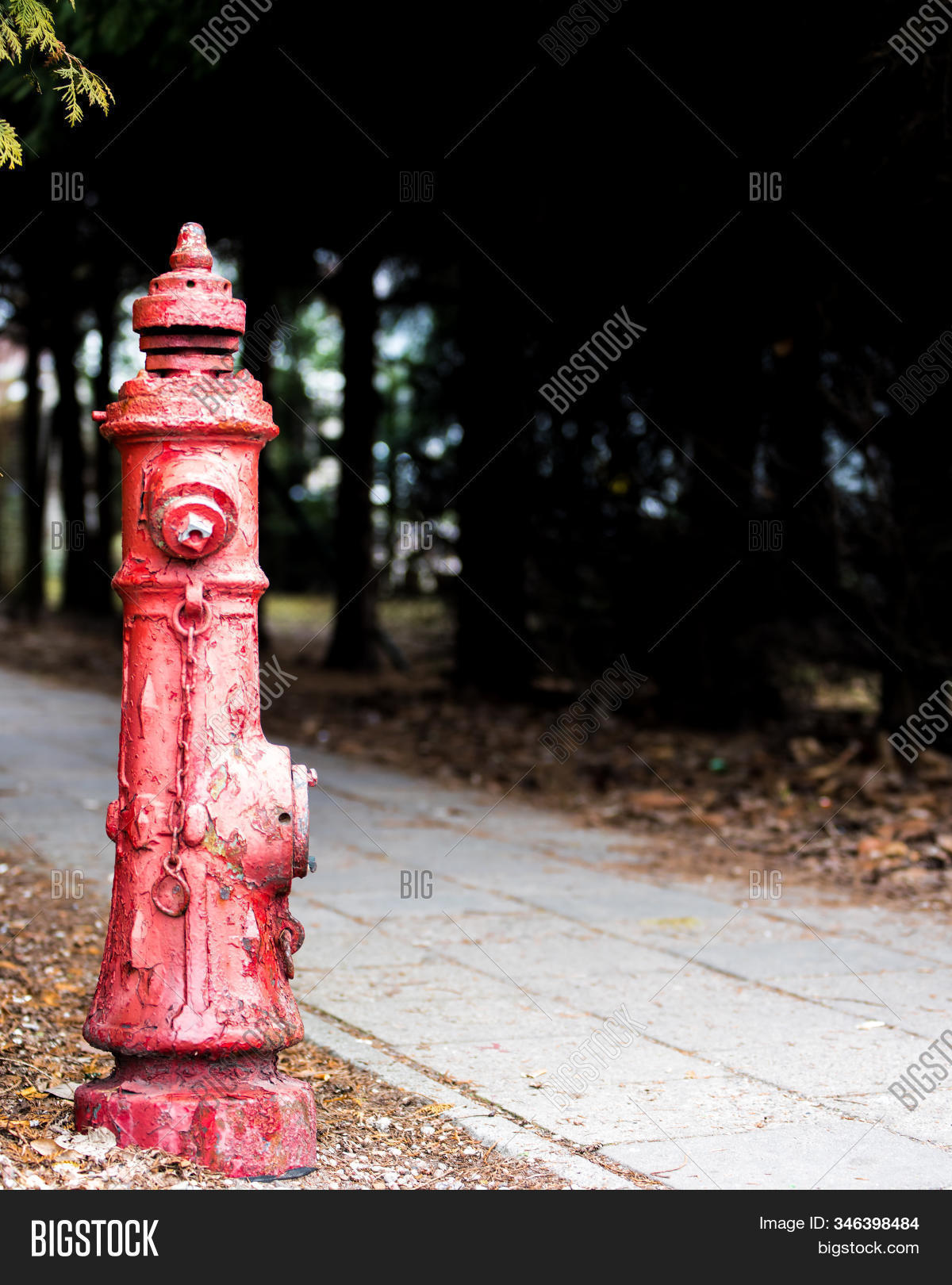 Red Fireplug On Street Image & Photo (Free Trial) | Bigstock