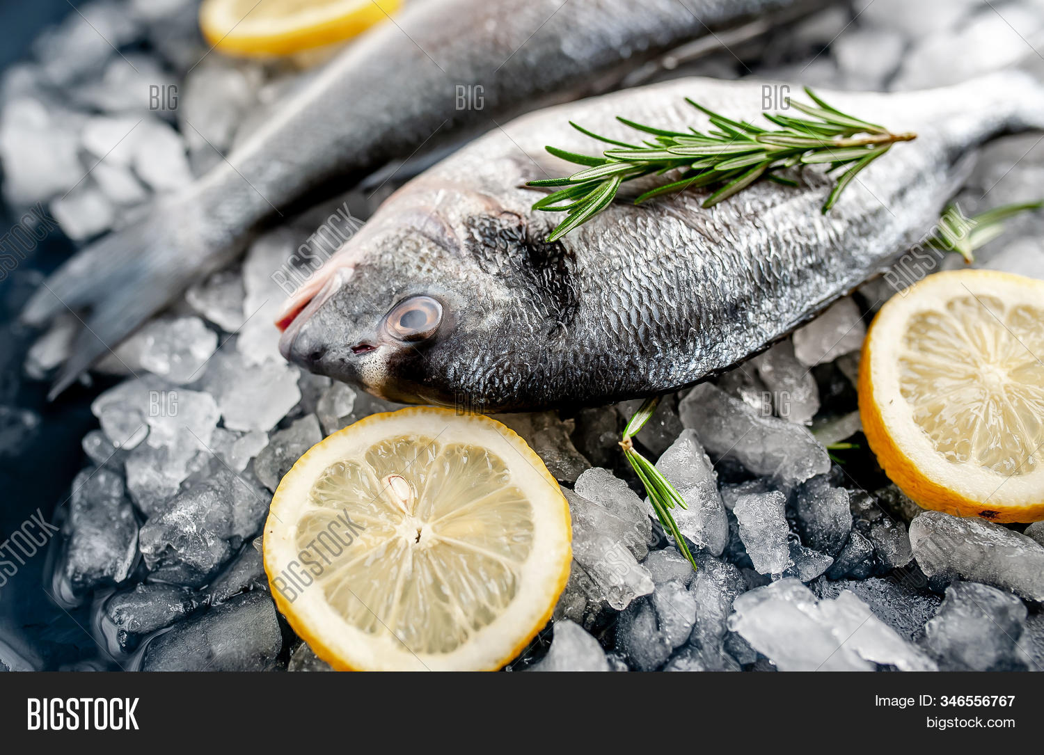 Chilled Raw Sea Bass Image & Photo (Free Trial) | Bigstock