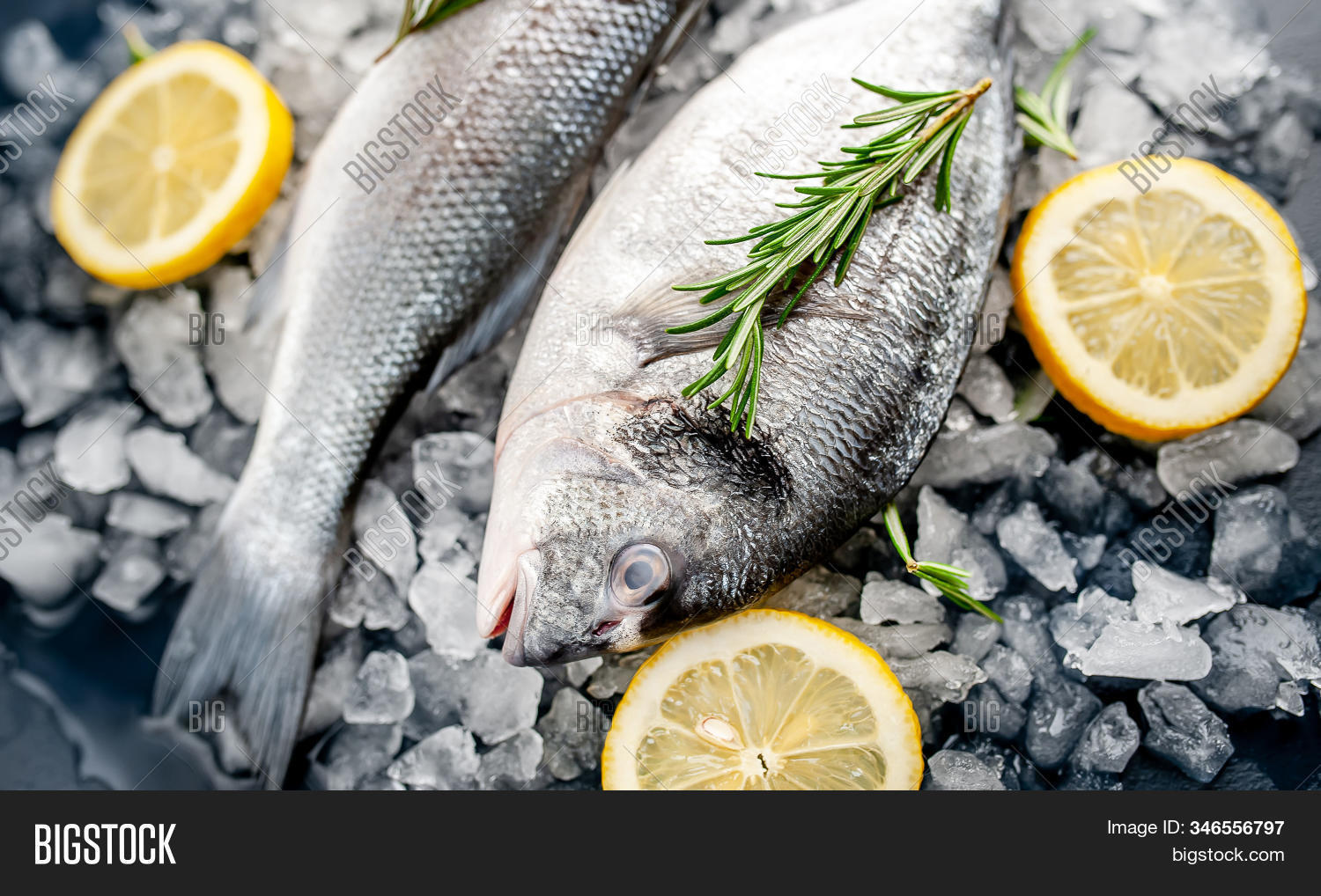 Chilled Raw Sea Bass Image & Photo (Free Trial) | Bigstock
