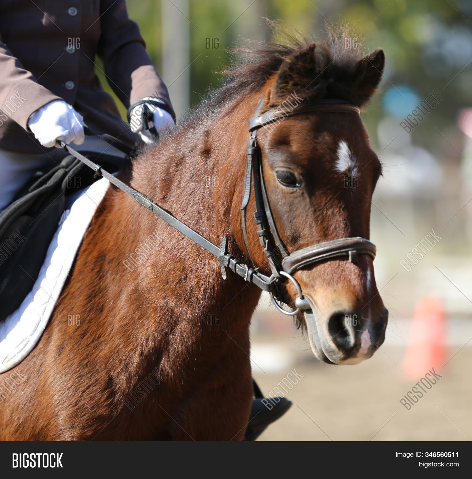 Beautiful Expressive Image & Photo (Free Trial) | Bigstock