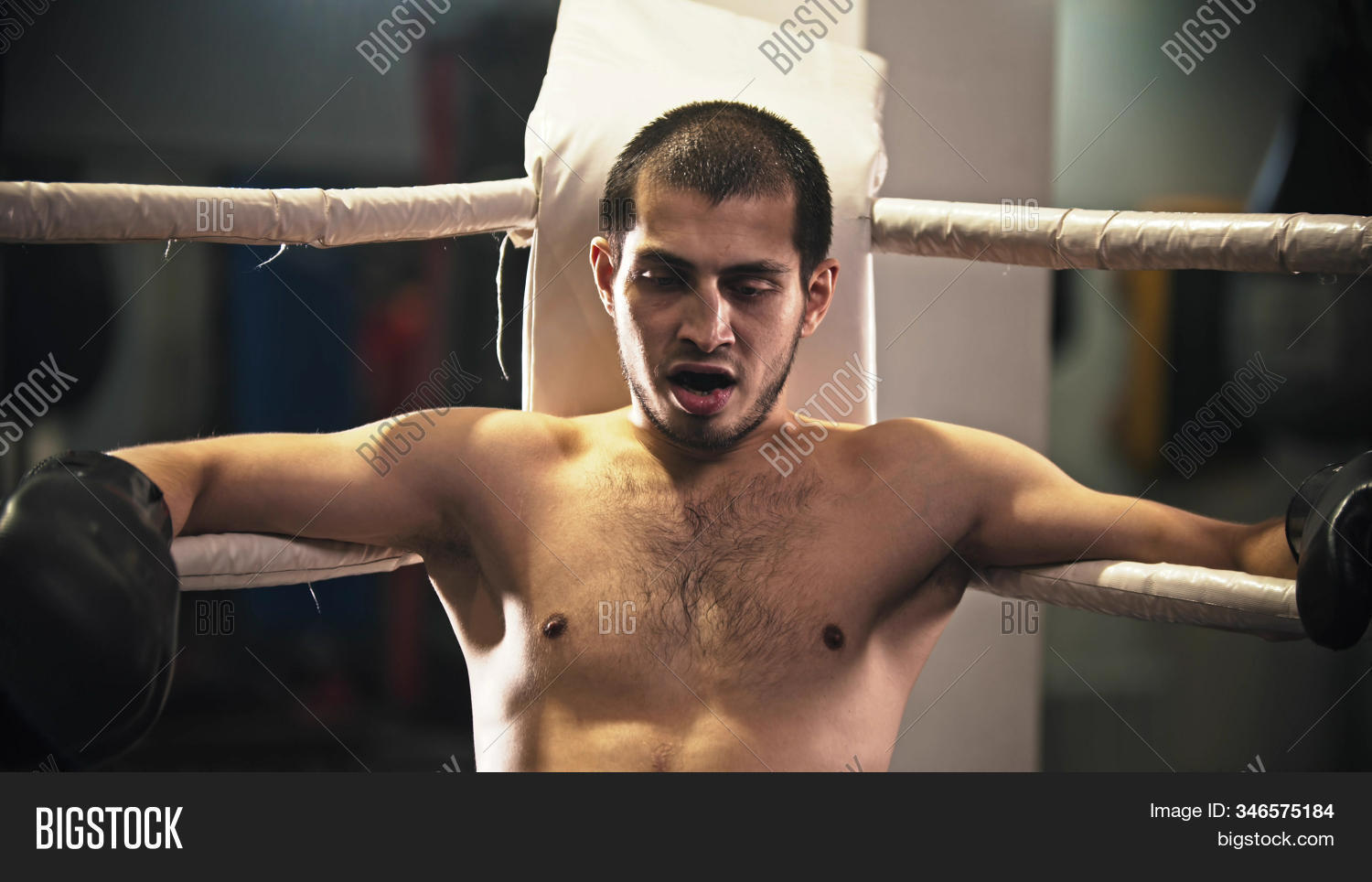 Tired Man Boxer Image & Photo (Free Trial) | Bigstock
