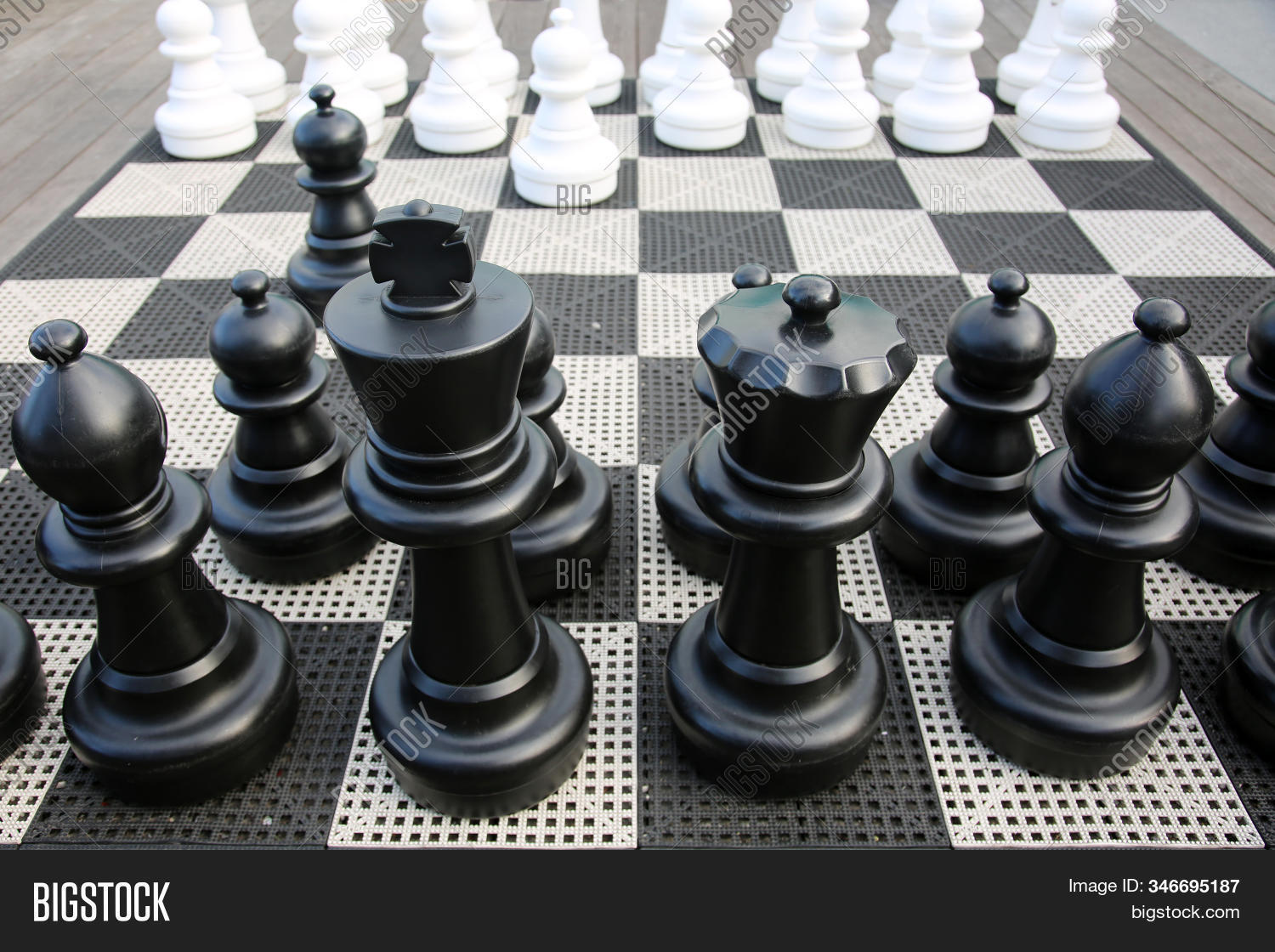 Chess Kit. Giant Chess Image & Photo (Free Trial) | Bigstock