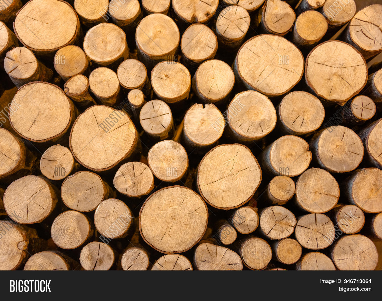 Cutted Wood Logs. Image & Photo (Free Trial) | Bigstock