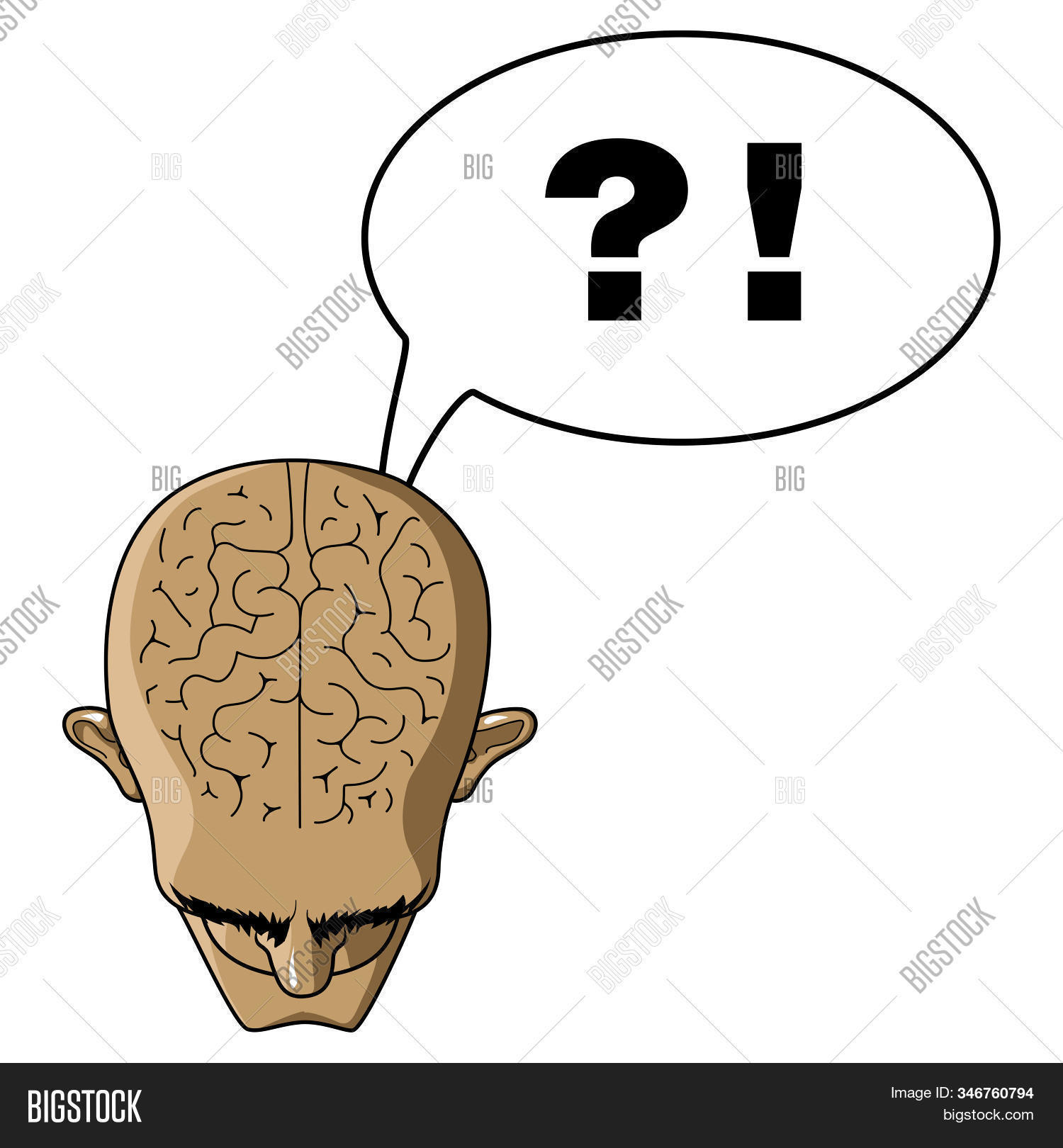 Head Bald Man Top View Image & Photo (Free Trial) | Bigstock