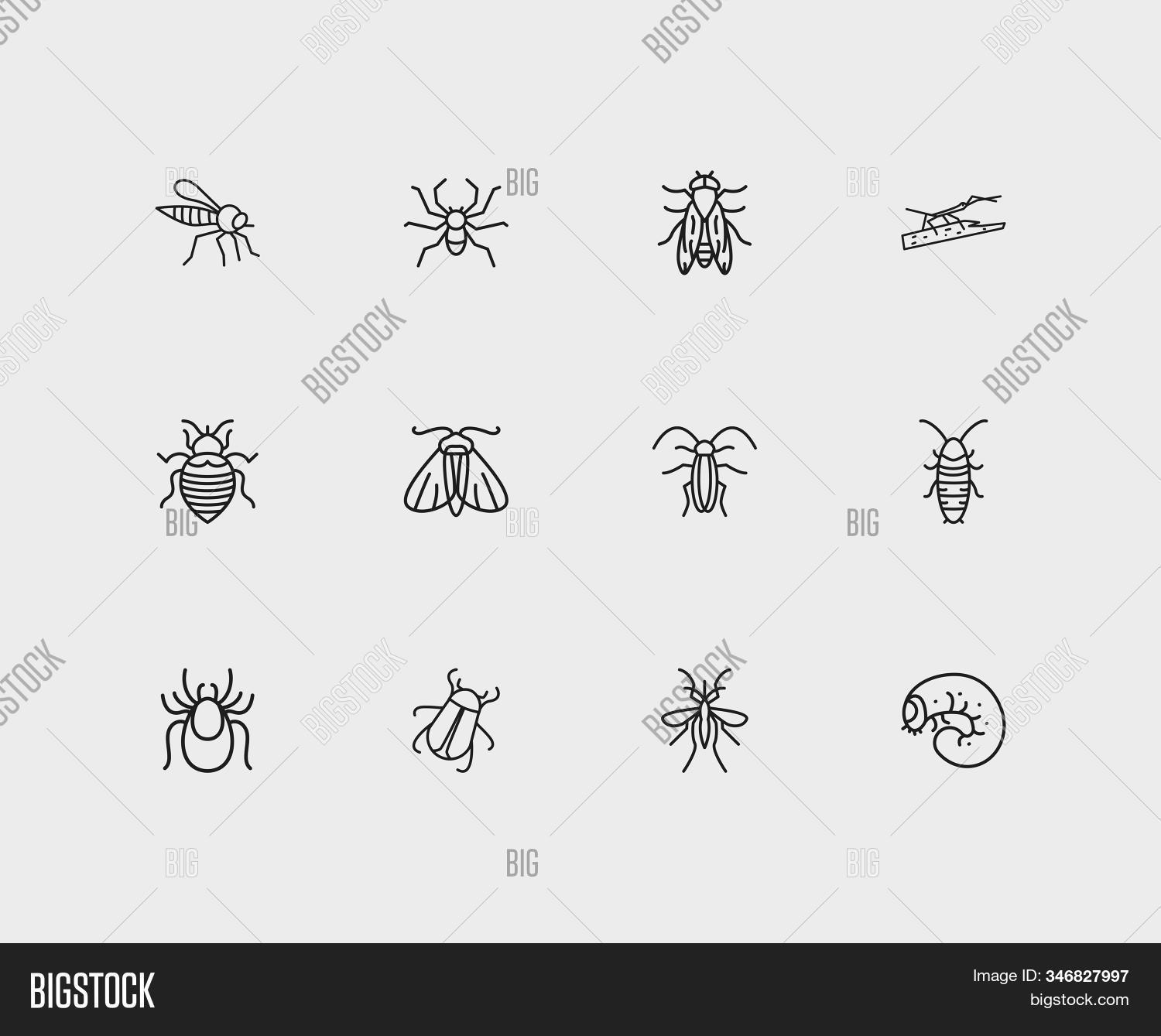 Bug Icons Set. Image & Photo (Free Trial) | Bigstock