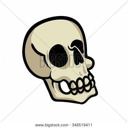 Cartoon Human Skull. Vector & Photo (Free Trial) | Bigstock
