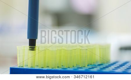 Yellow Pipette Tip Image & Photo (Free Trial) | Bigstock