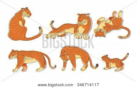 Stylized Tiger Animal Vector & Photo (Free Trial) | Bigstock