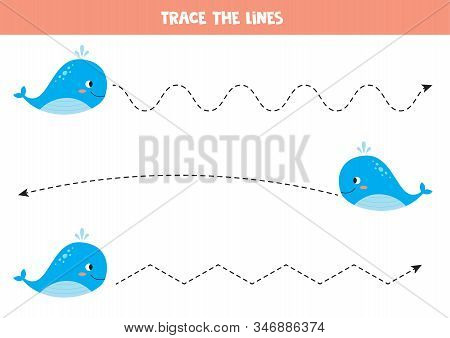 Trace Line Blue Whale Vector & Photo (Free Trial) | Bigstock