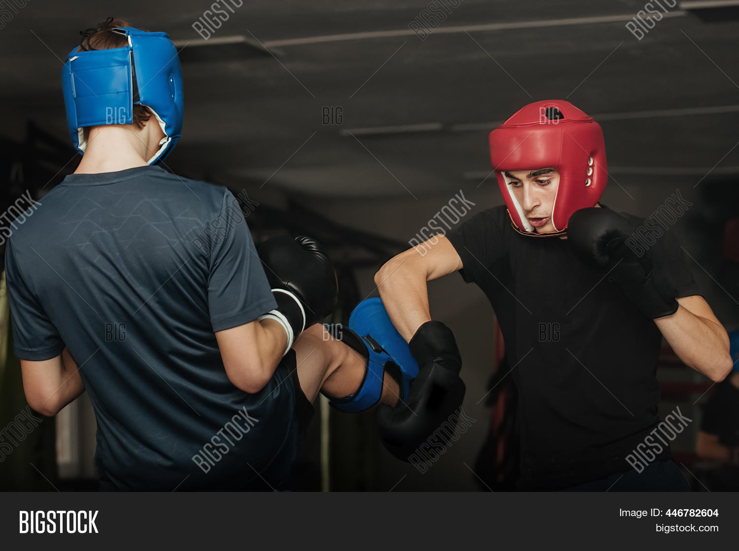 Two Sportsmen-boxers Image & Photo (Free Trial) | Bigstock