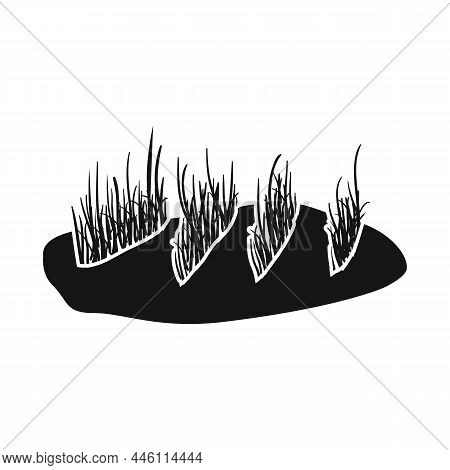 Isolated Object Rice Vector & Photo (Free Trial) | Bigstock