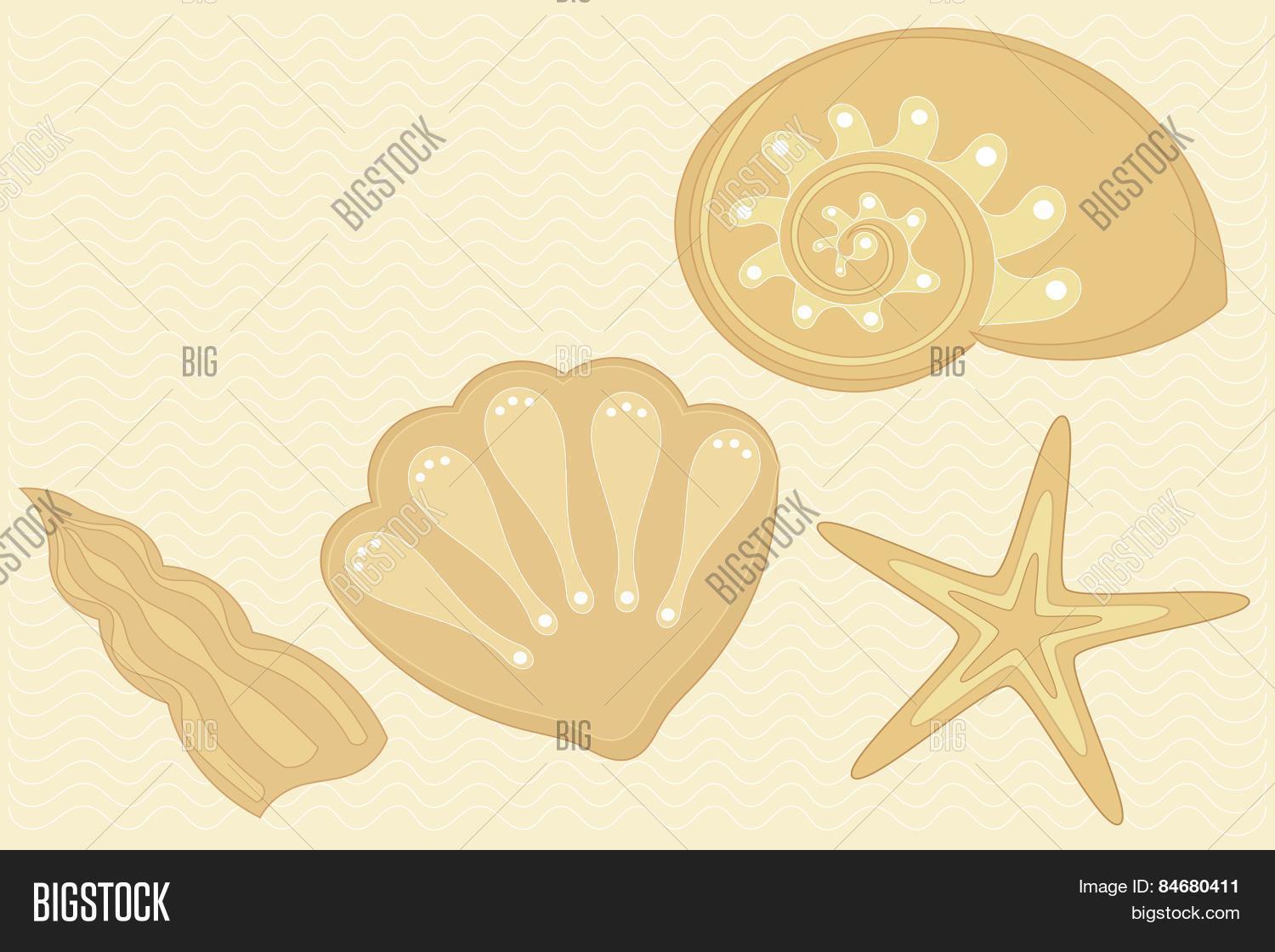 Sea Shell Icons Vector & Photo (Free Trial) | Bigstock