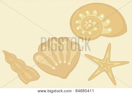Sea Shell Icons Vector & Photo (Free Trial) | Bigstock