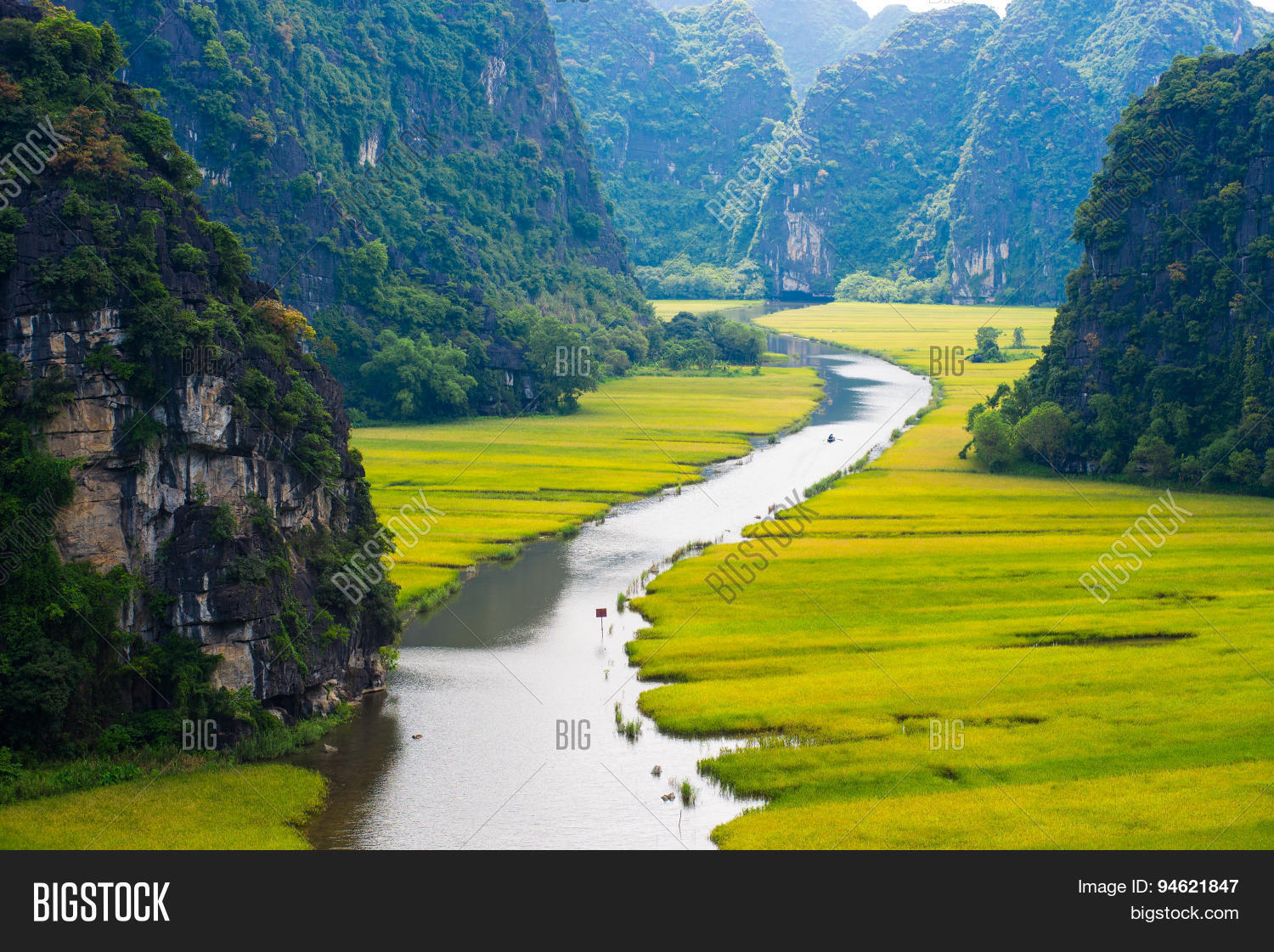 Rice Field River Image & Photo (Free Trial) | Bigstock