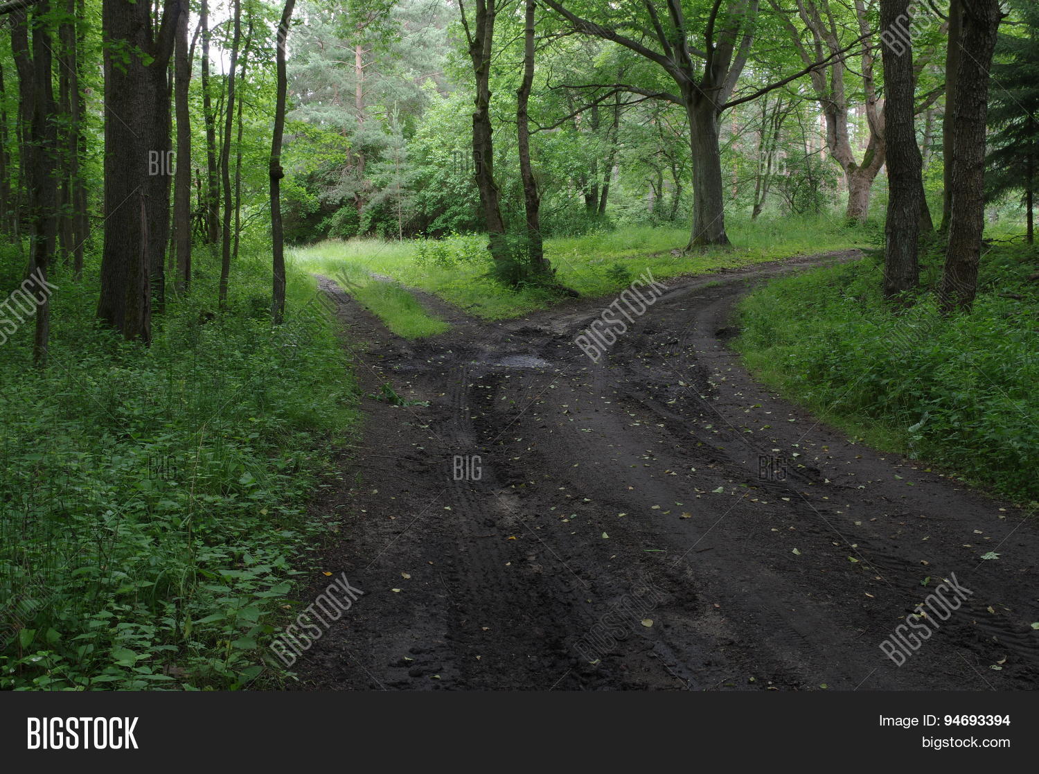 Crossroads Image & Photo (Free Trial) | Bigstock