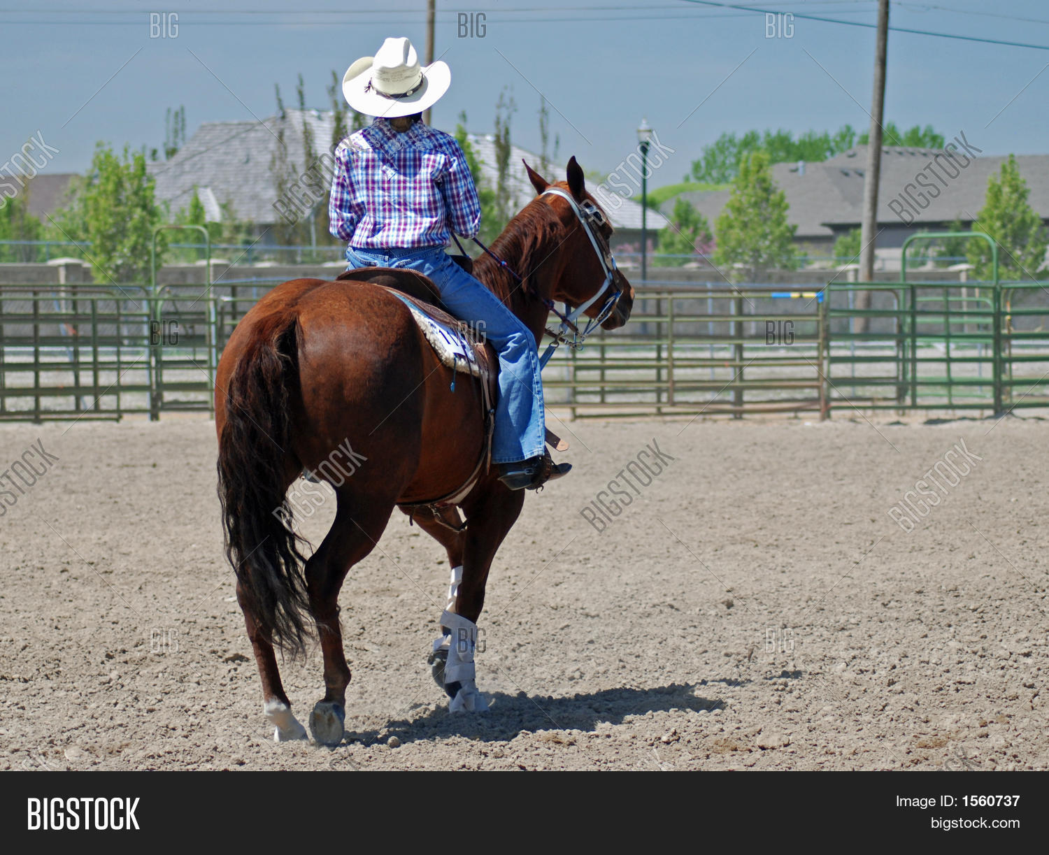 Equestrian Image & Photo (Free Trial) | Bigstock