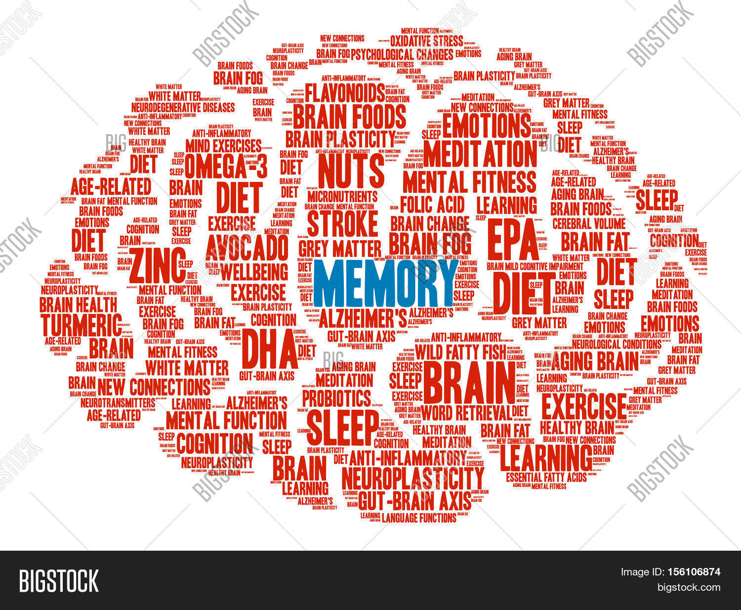 Memory Brain Word Vector & Photo (Free Trial) | Bigstock