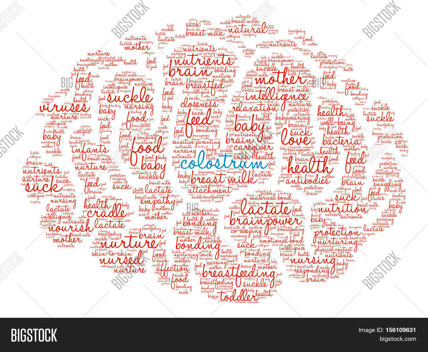 Colostrum Brain Word Vector & Photo (Free Trial) | Bigstock