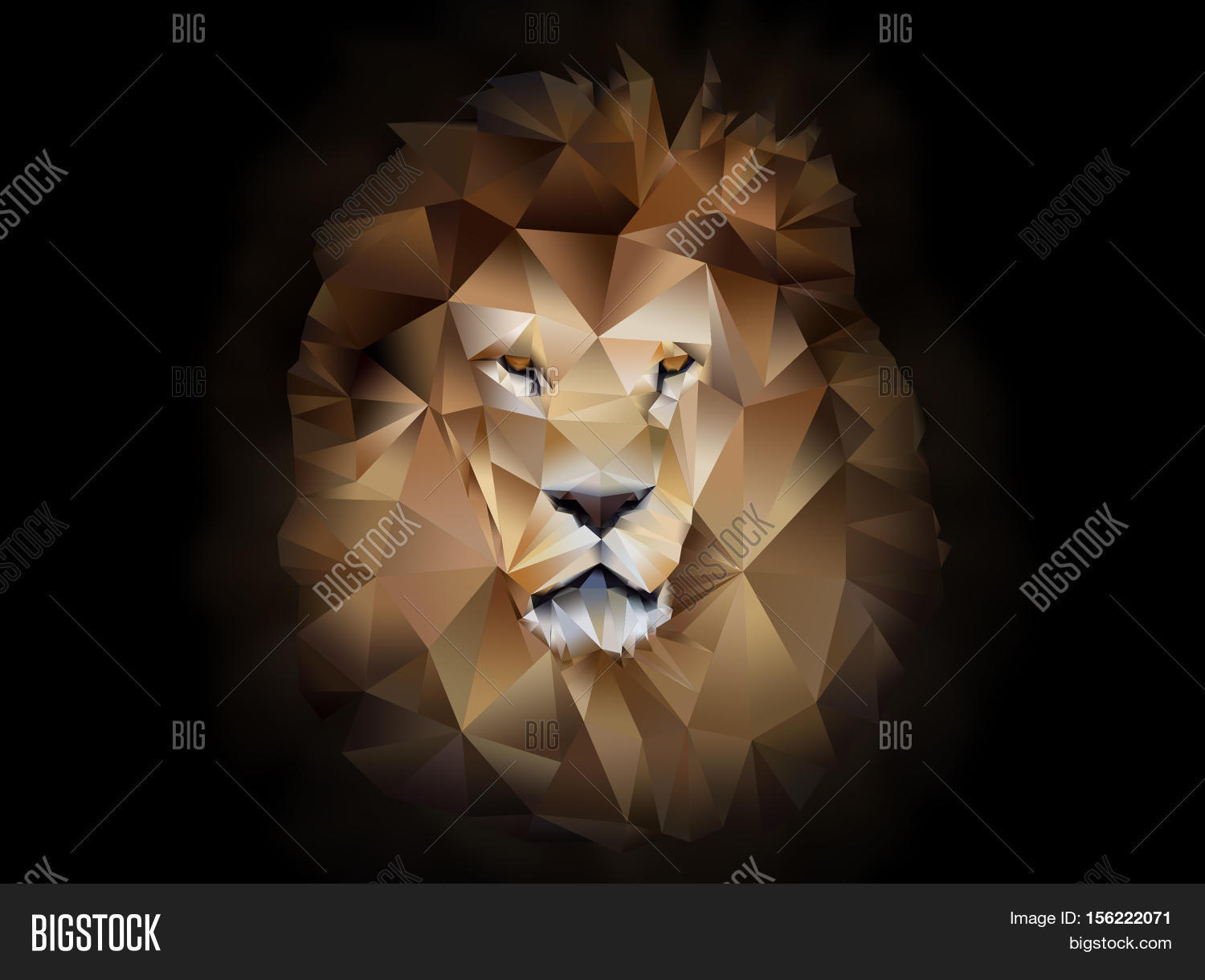 Lion Polygon Geometric Image & Photo (Free Trial) | Bigstock