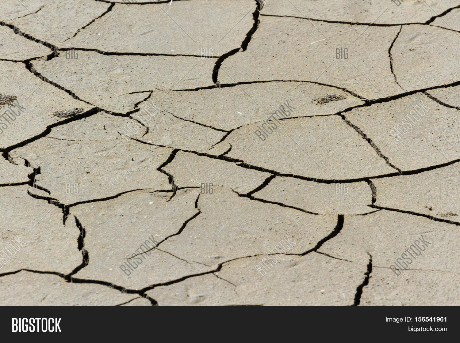 Dry Cracked Land. Image & Photo (Free Trial) | Bigstock