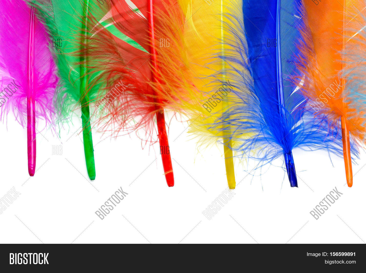 Set Fluffy Feathers Image & Photo (Free Trial) | Bigstock
