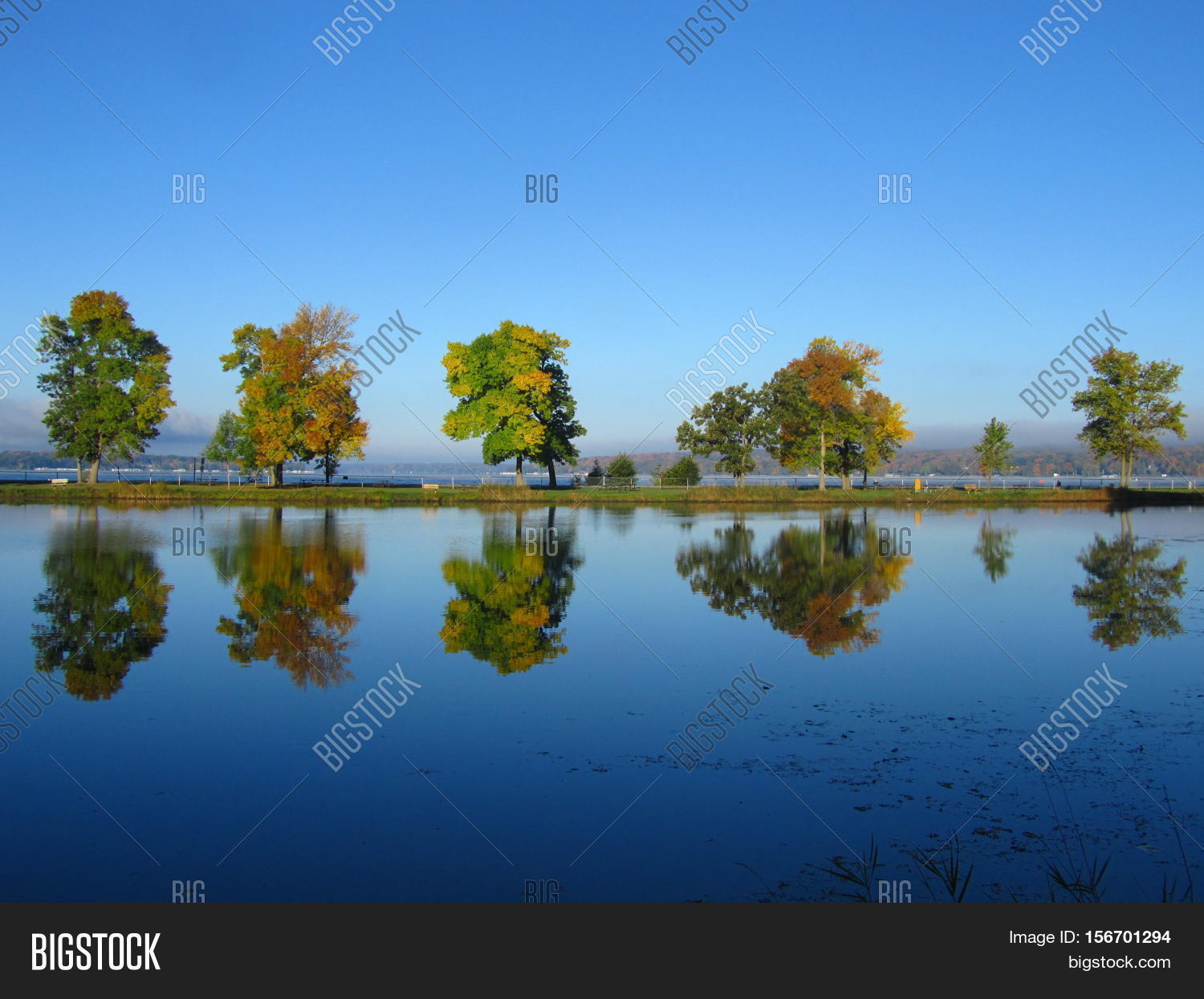 Tree Line Fall Follage Image & Photo (Free Trial) | Bigstock